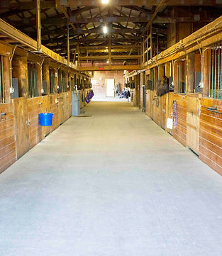 Pine Hollow Stables, LLC | Iowa's Premier Horse Boarding Facility