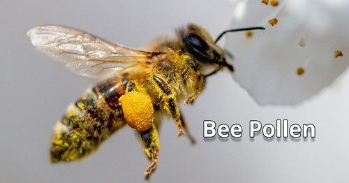 Bee Pollen | HoneyBeeMade