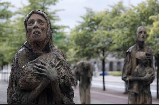 HOME | michael-collins