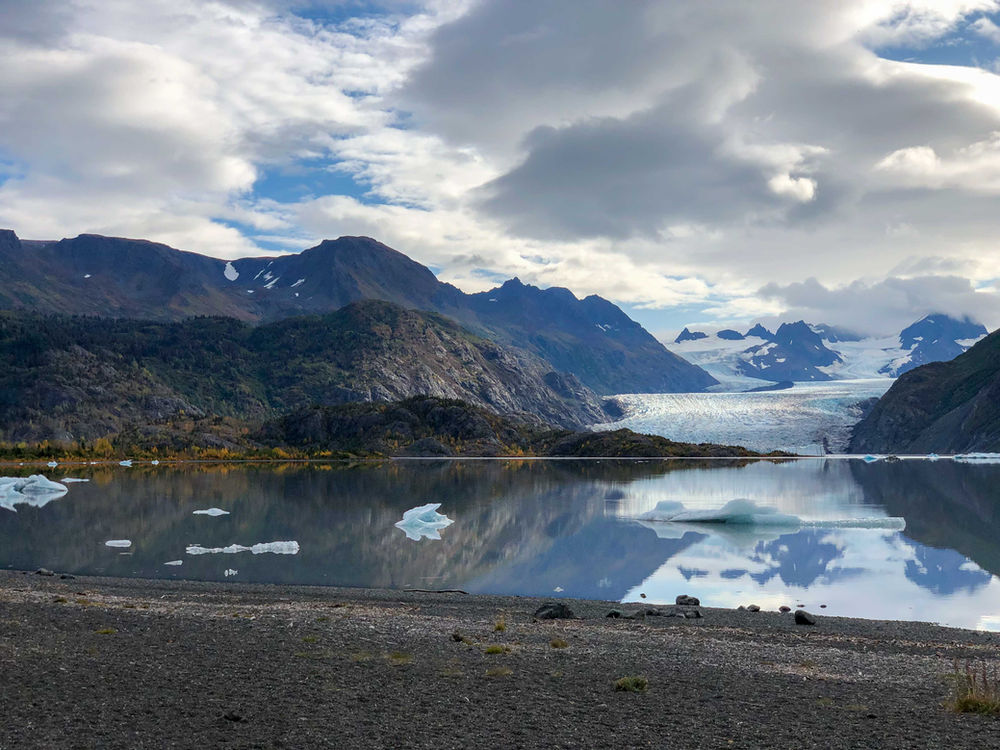 9 Best Things To Do in Homer, Alaska