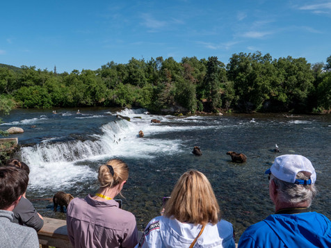 Brooks Falls Self-Guided | Emerald Air Service