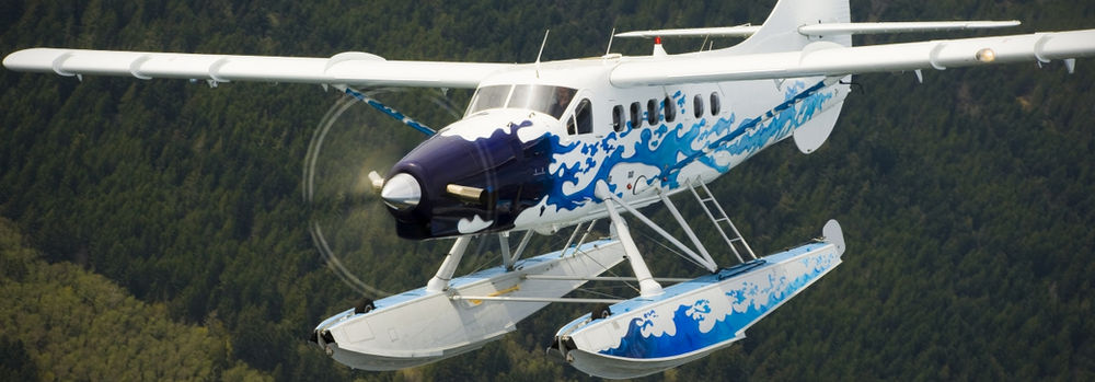 The de Havilland Otter: The Workhorse of the North