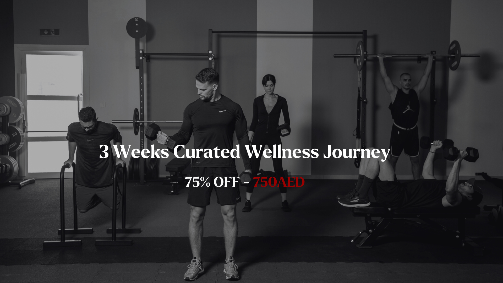 3 Weeks Curated Wellness Journey | GRITNCODE
