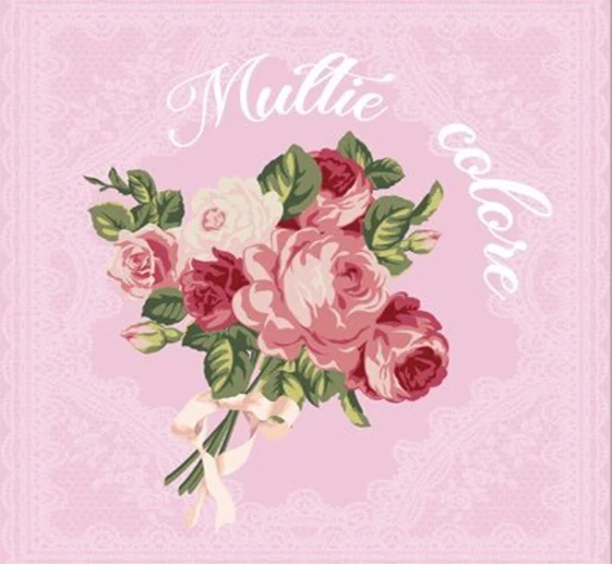 コンセプトカフェ （秋葉原）– みゅるころ | Moe Handbook