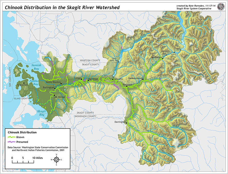 Restoration | Skagit Conservation