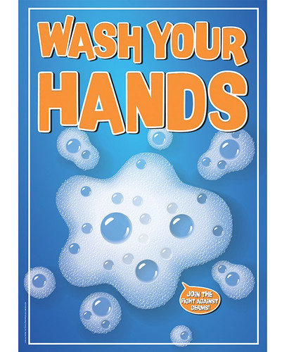 Wash Your Hands Poster | Terrific Teaching To