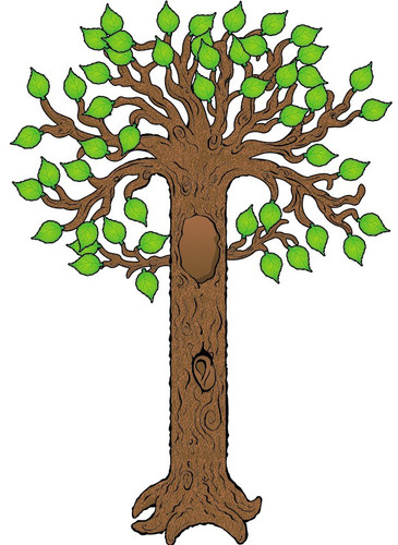 Big Tree | Terrific Teaching To