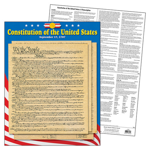 U.S. Constitution Learning Chart | Terrific Teaching To
