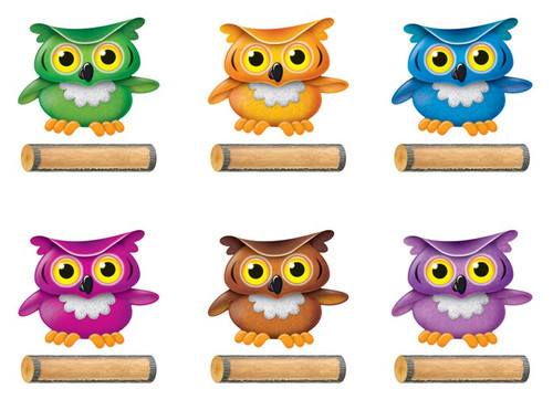 Bright Owls Classic Accents® Variety Pack | Terrific Teaching To