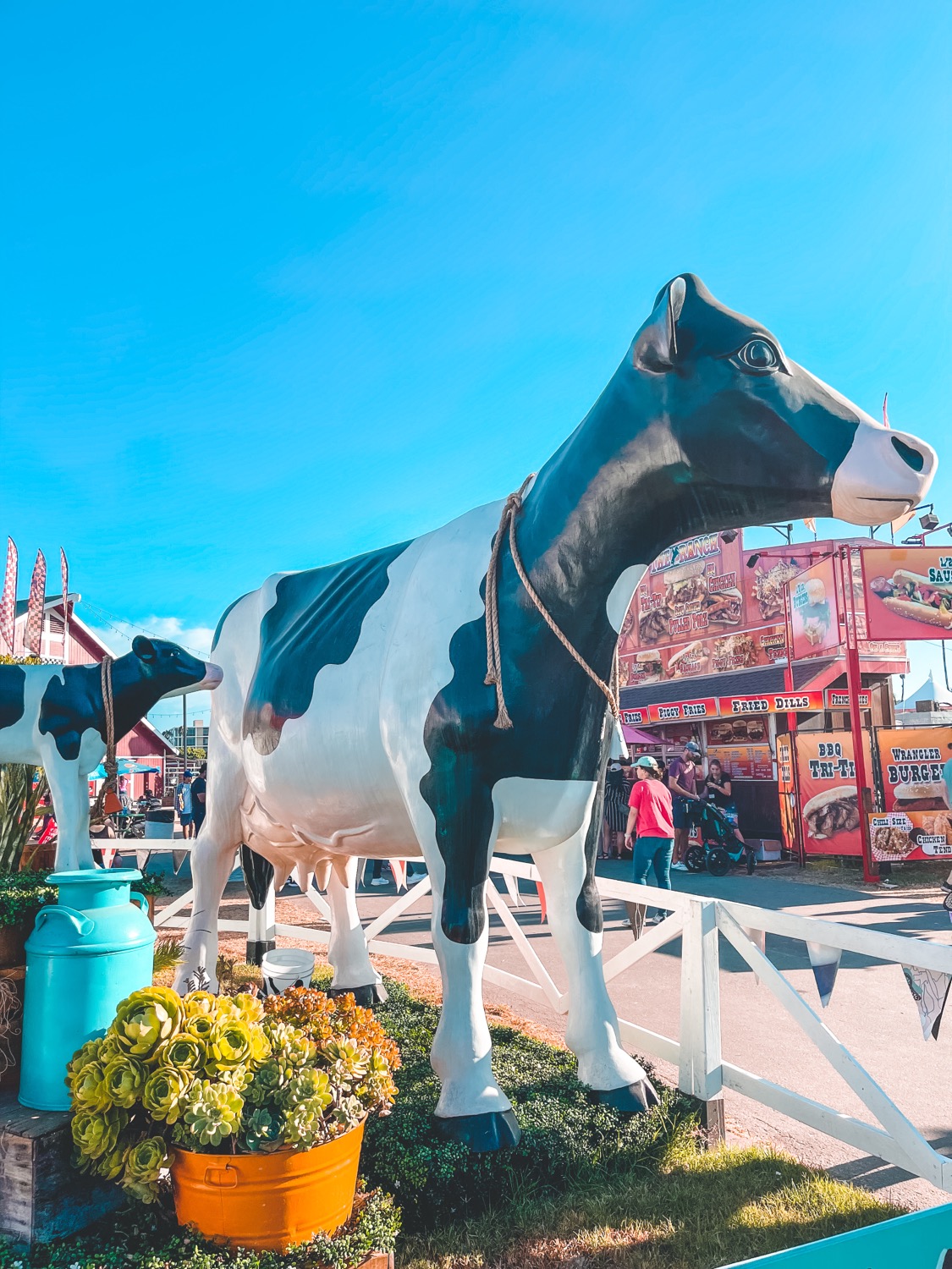 What to Expect at the OC Fair in 2021