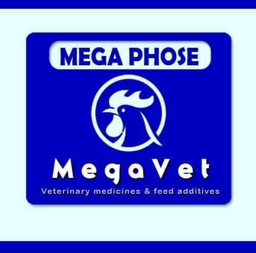 Megaphose | home