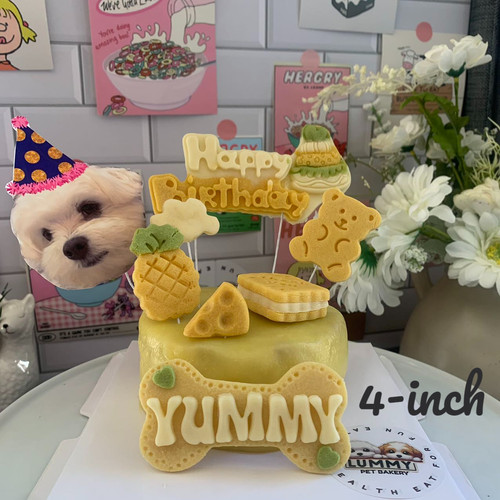 Mozzarella-Wrapped Custom Pet Cake | Lummy