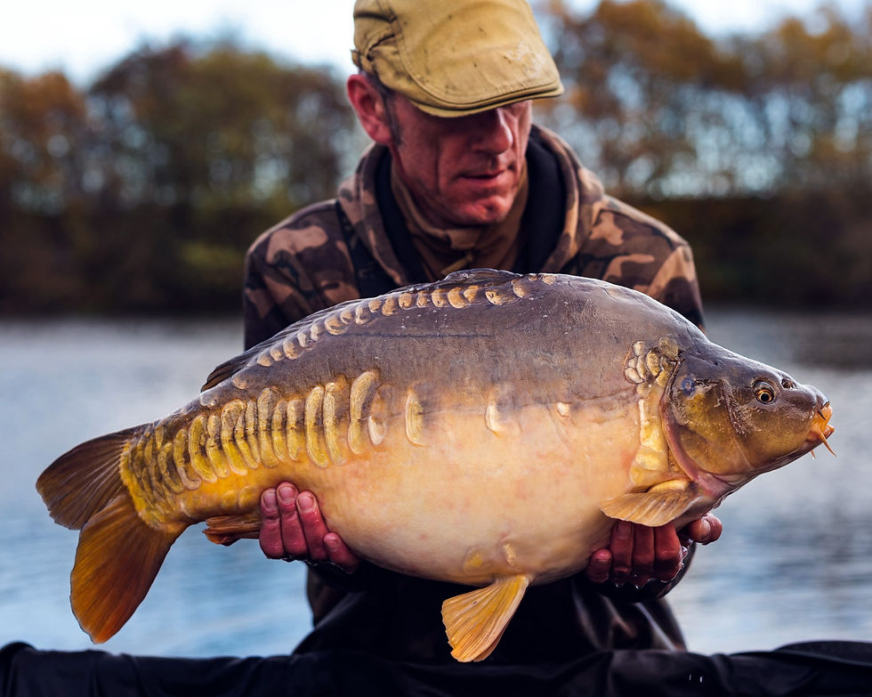 The Fish | Creedence Fishery
