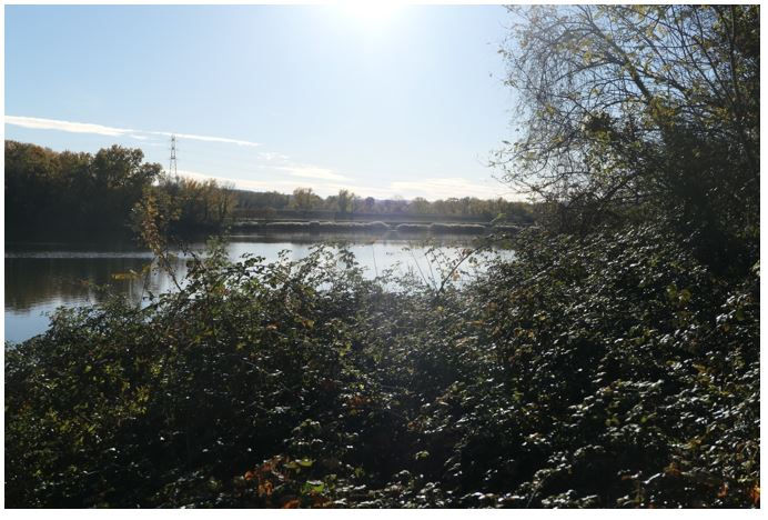 Le Rhône depuis l’île des Brotteaux à Caderousse | Trac