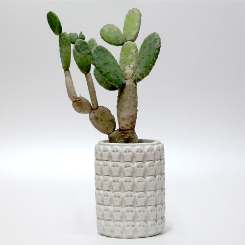 pantli S - blanco | piedrafuego