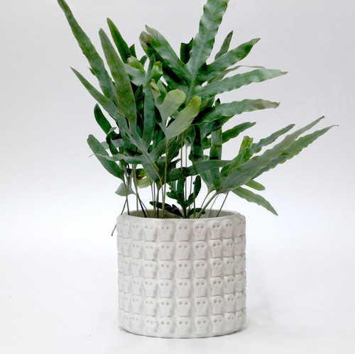 pantli mediana - blanco | piedrafuego