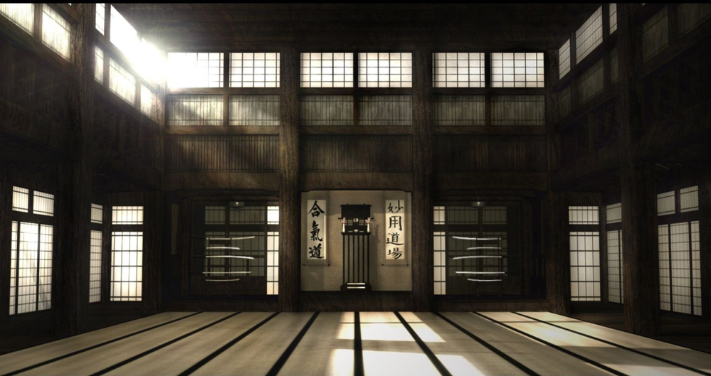 Entering the Dojo