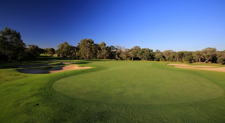 The Vines Resort | IMG Prestige