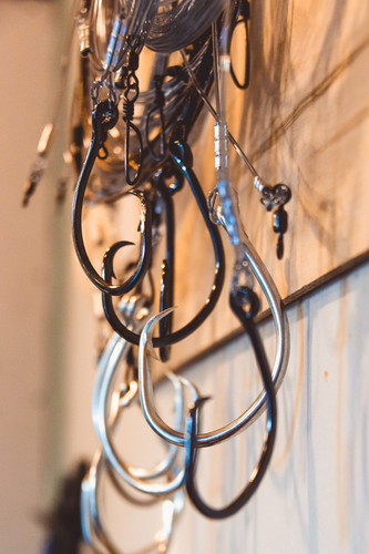 Shark Rigs | Wild Miles Tackle