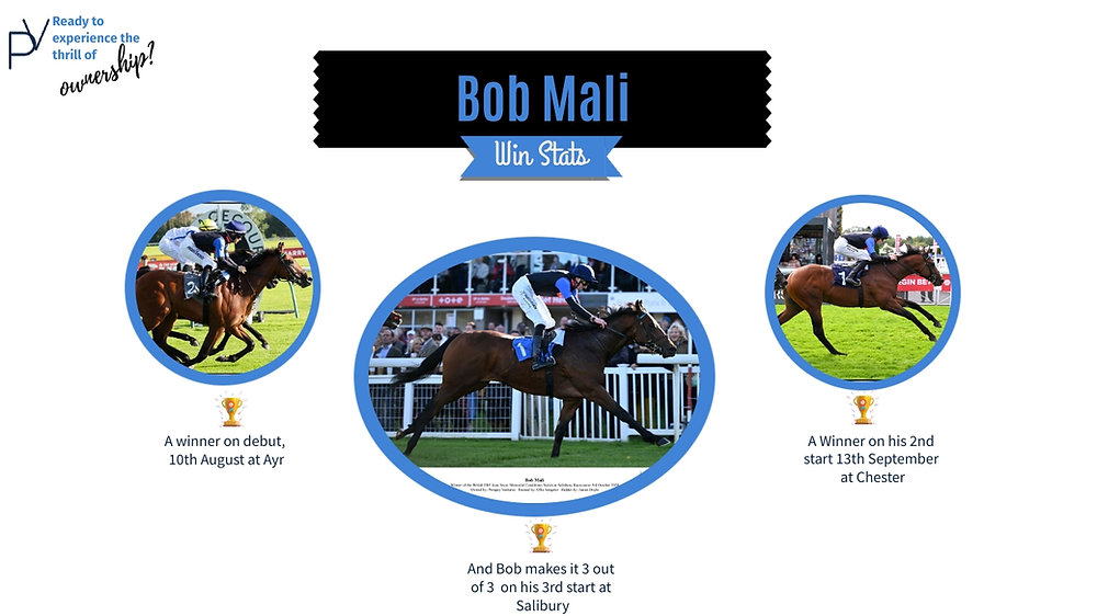 Bob Mali - syndicate owners definition of a PV legend