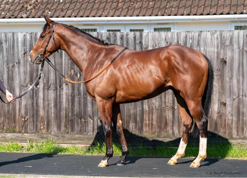 Pompey Ventures: Francis Drake