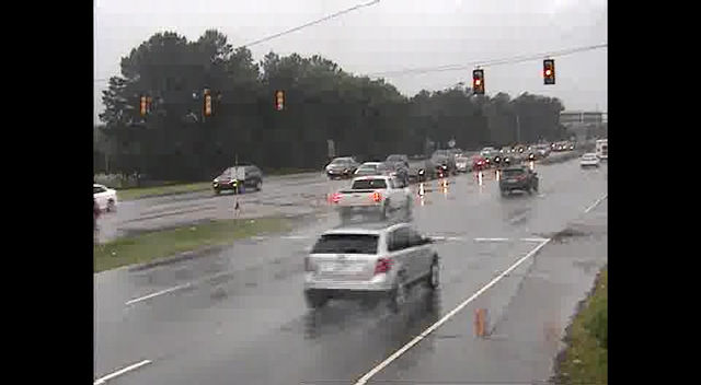 What do Red-Light Runners Look Like?