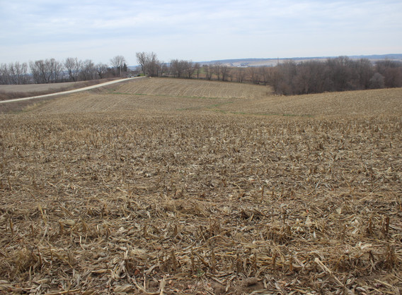 1783 65th Ave., Baldwin | East Iowa