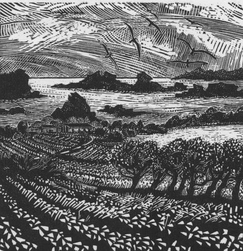 Kate Dicker - Bryher, Isles of Scilly | RBC