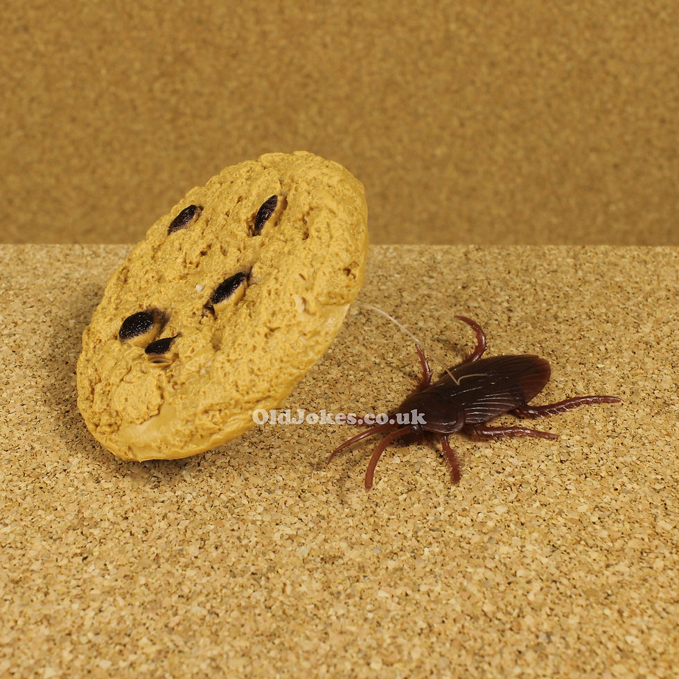 Cookie Cockroach Surprise | Old Jokes