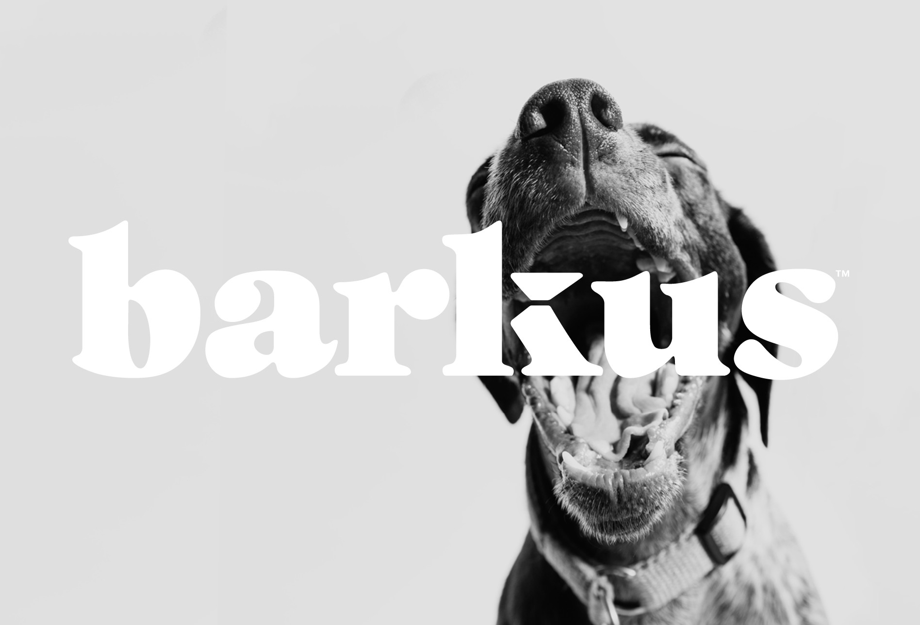 Thoughtful Dog Products | Barkus