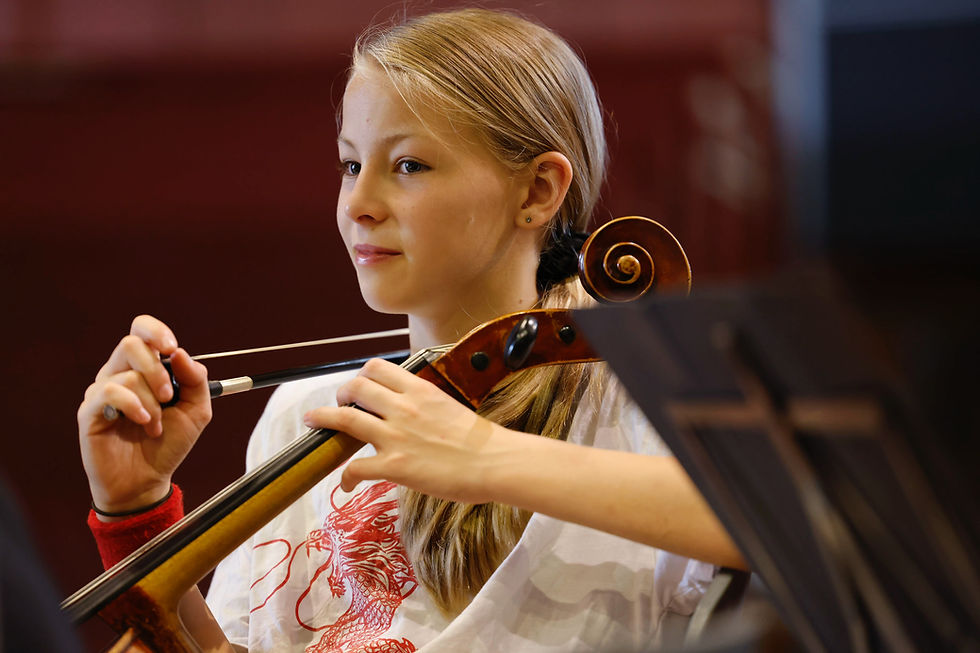 beatlestrings | TERMINE