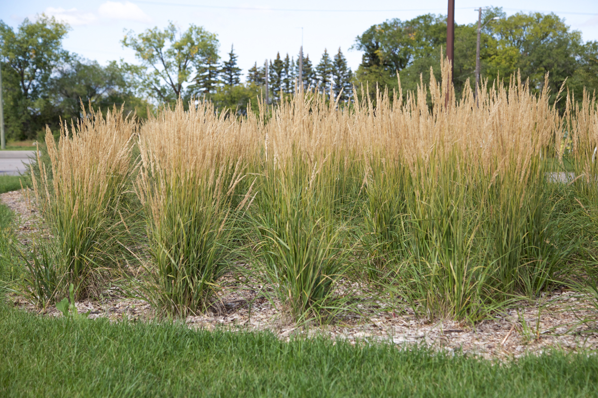 Home | Perfect Landscaping Ltd