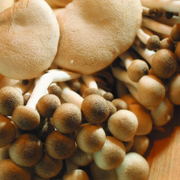 Tina Caputo - Wine, Food, Beer and Travel Writer