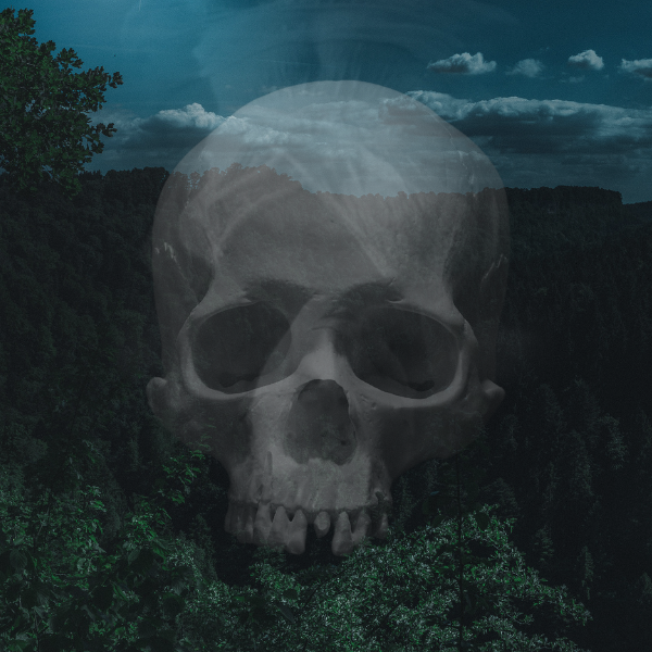 Flying Heads | Ballyraven, the Cryptozoologist's Field Guide