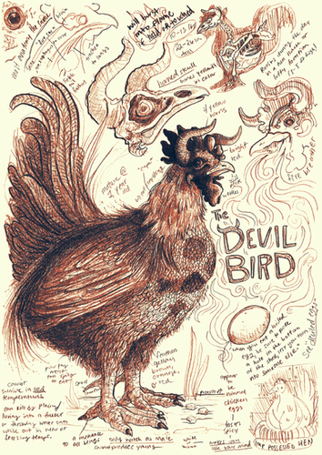 Devil Bird Field Study | Ballyraven