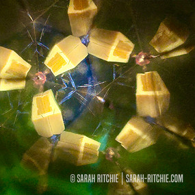 LEGO bricks | Sarah Ritchie