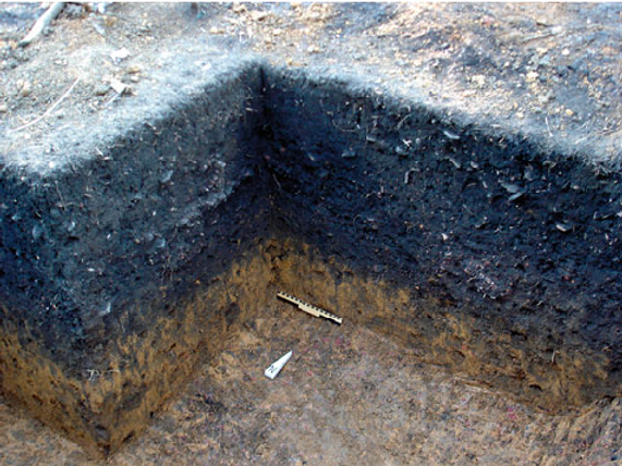 Terra Preta: Tanah Paling Subur di Dunia dari Amazon