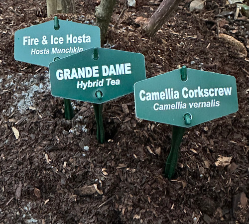 Hexagon labels & stakes, 1- 2 lines | The Rose Gardener