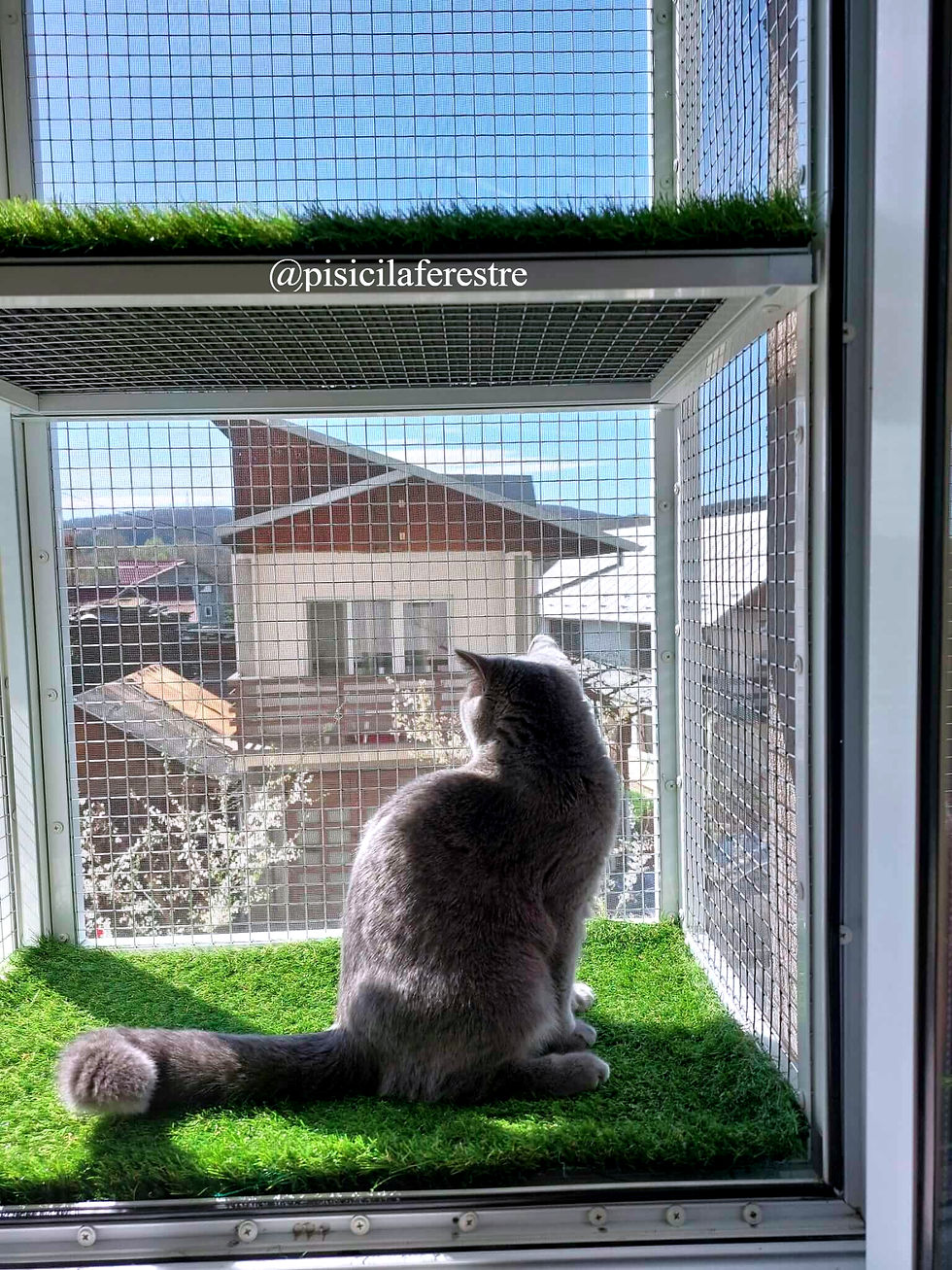 Magazinul CityCATS | Produse și servicii pentru piscari