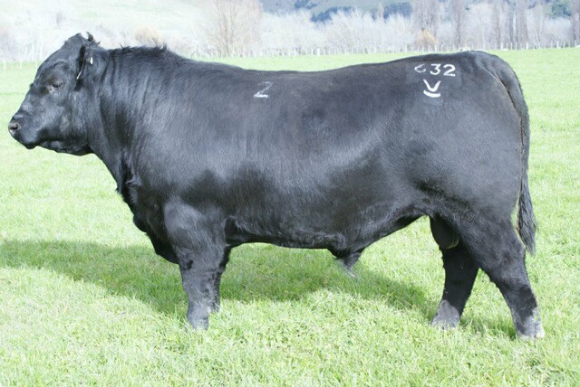 2018 OVERVIEW | Turiroa Angus | New Zealand