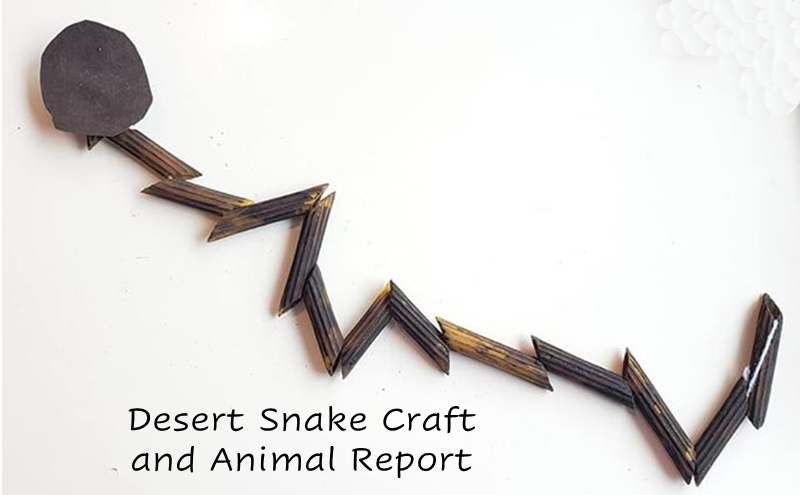 Desert Animal Report and Craft