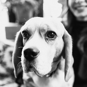 Anna Bower | Legal Correspondent