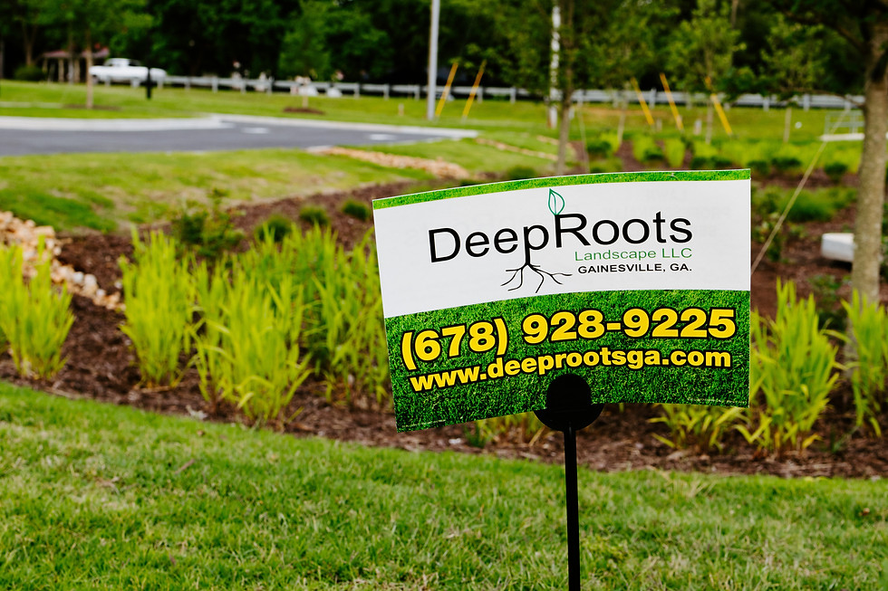 SERVICES | Deep Roots Landscape