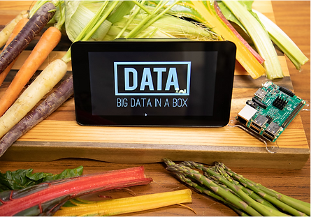 Home | BDIB Solutions