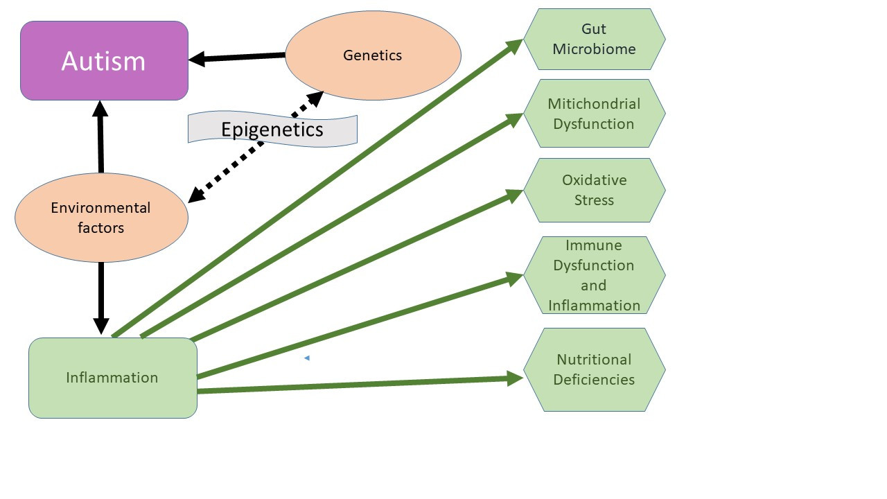 Integrative Approach to Autism | the-green-life