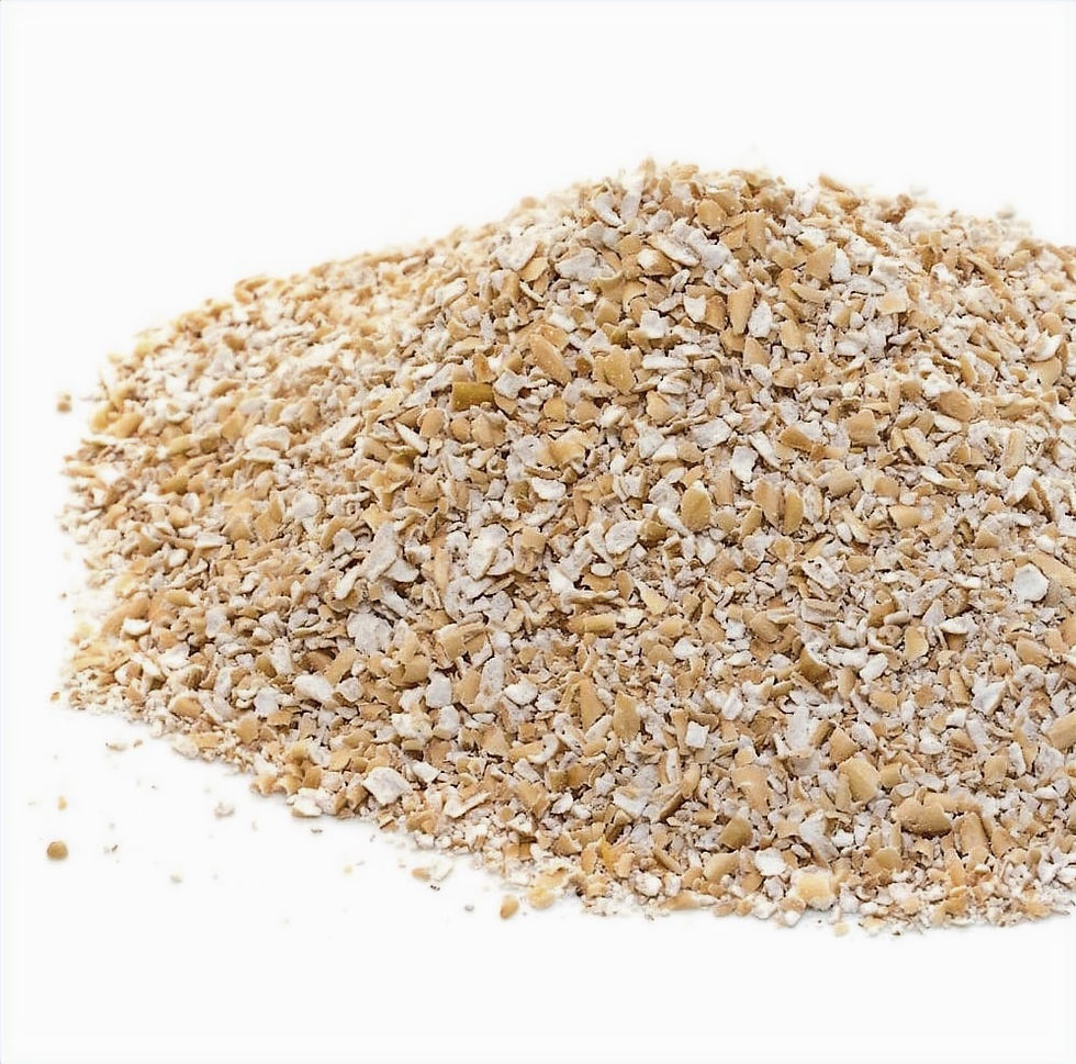 T. Son de Froment Bio | Histoire d'un grain