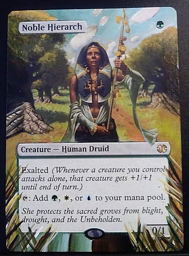 Noble Heirarch - Full Art / Altered. MTG | Rypie MTG Alters