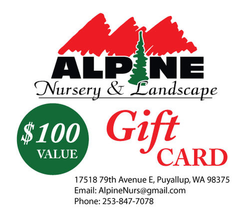$100 Gift Card | Alpine-Nursery