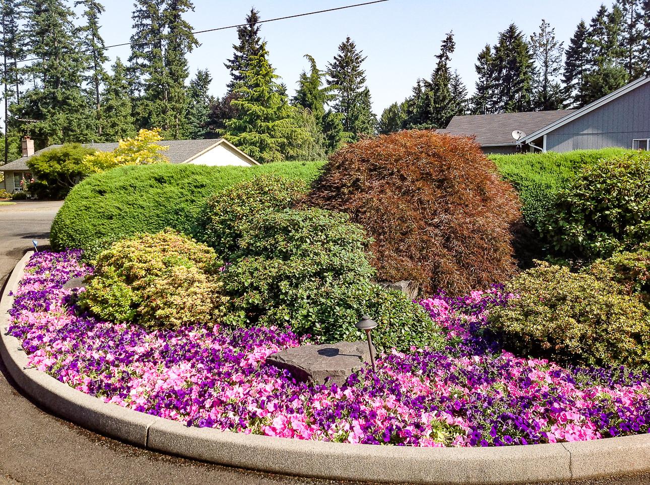 Alpine-Landscape (23 of 109).JPG