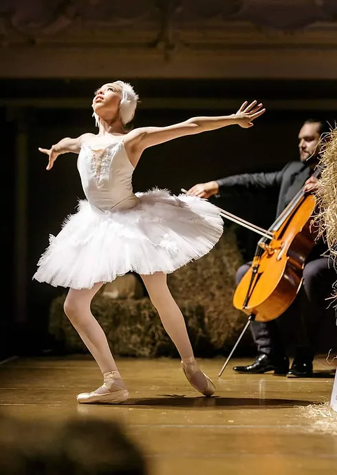 Student Achievements | AucklandAcademyofDan